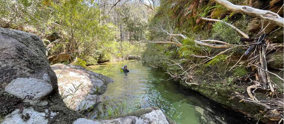 Bula Bula Canyon Explorer